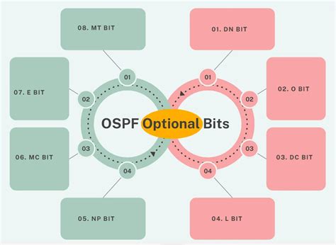 Ospf Interview Questions And Answer Part 7 Ospf Optional Bits Ospf Interview Questions And Answer Part 7 Ospf Optional Bits