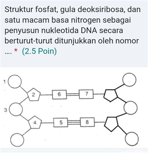 Struktur Fosfat Gula Deoksiribosa Dan Satu Macam Basa Nitrogen Sebagai