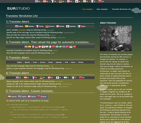 Translator Revolution Website Translator PHP Script InkThemes