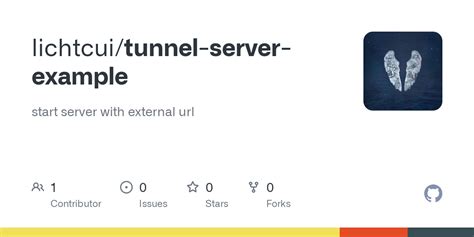 GitHub Lichtcui Tunnel Server Example Start Server With External