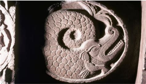 Chakra Guide 7 Chakra Help To Boost And Balancing The Immune System In Your Body