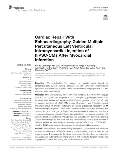 Pdf Cardiac Repair With Echocardiography Guided Multiple Percutaneous Left Ventricular