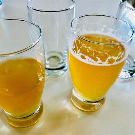 5 Oz Taster Glass Acopa Barbary 5 Oz Taster Glass 12 Pack