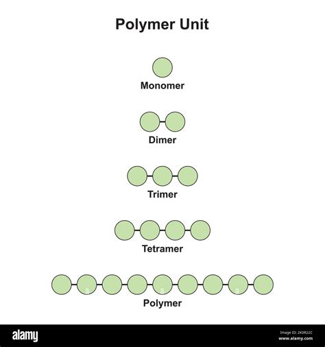 Scientific Designing Of Polymerization Reaction Converting Monomers To