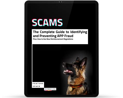 Scam Detect Real Time Payments Fraud Detection Featurespace