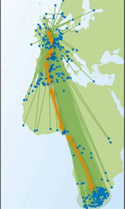 The Swallows Migration An Epic Journey Hubpages