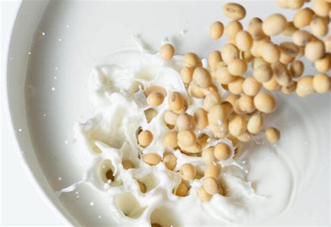 The Shocking Truth About Gmo Soybeans Youve Probably Never Heard