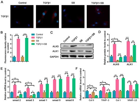 Highdose TGFβ degrades human nucleus pulposus cells via ALK Smad activation