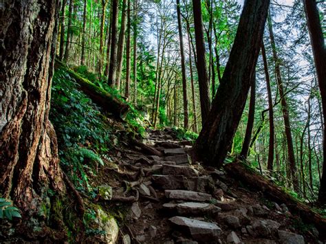 Hiking Trails