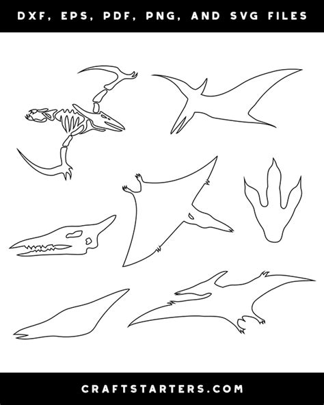 Pterodactyl Outline Patterns Dfx Eps Pdf Png And Svg Cut Files