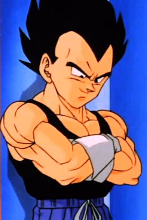 Vegeta At The End Of Dragon Ball Z By Dbzvegeta89 On Deviantart