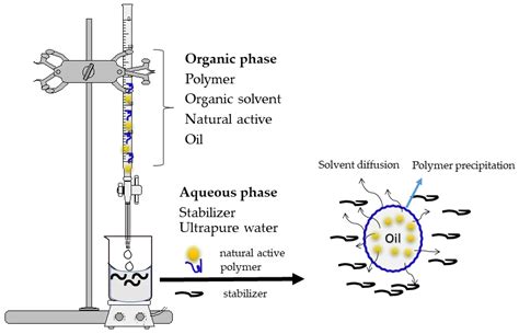 Biotechnological Applications Of Nanoencapsulated Essential Oils A Review