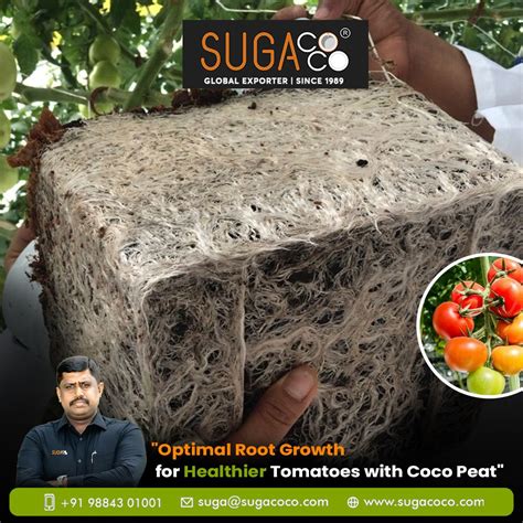 shyam sundar on linkedin rootgrowth cocopeat
