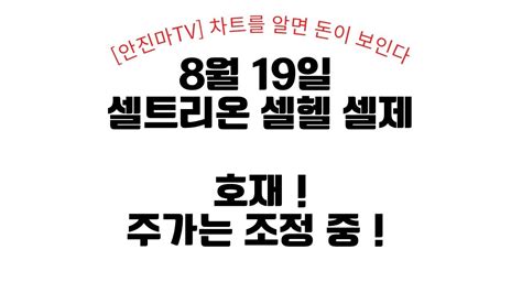 셀트리온셀트리온헬스케어셀트리온제약호 재 주가는 조정중 Youtube