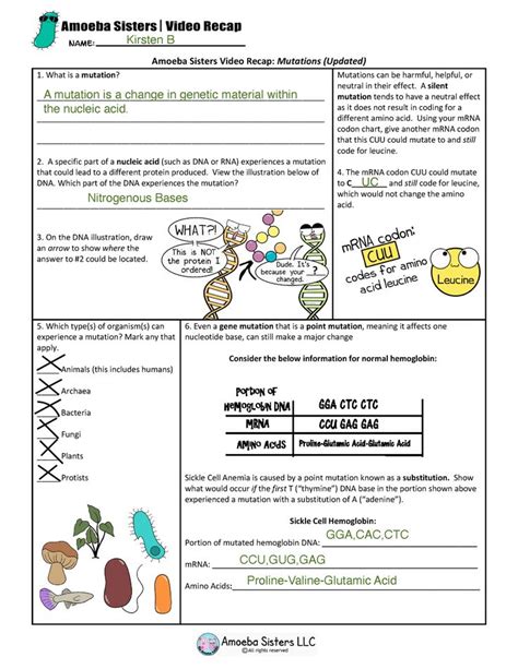 Scientific Method Worksheet Answer Key Scientific Method Worksheet