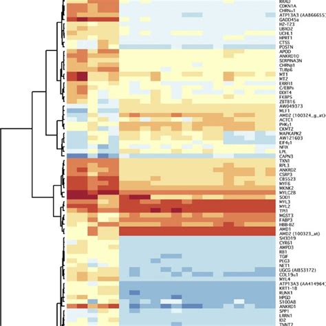 hierarchical clustering of 20 samples and 83 probe sets a heat map of