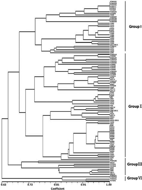 Dendrogram Constructed With The UPGMA Clustering Method For 110