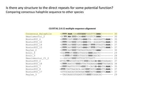 Ppt Crispr Direct Repeat Sequences Powerpoint Presentation Free