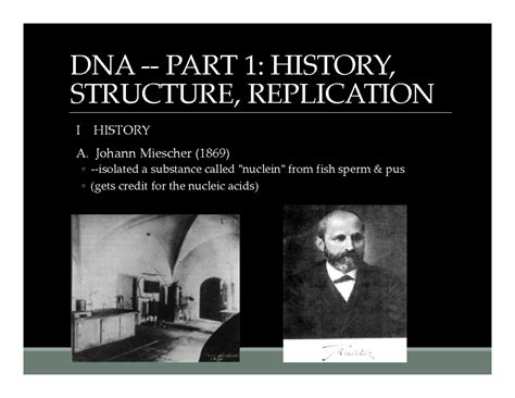 Dna History Structure Replication Ppt Warning Tt Undefined Function 32 Dna Part 1