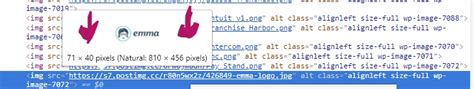 Logo Size Seems To Shrink In Html And Css Stack Overflow