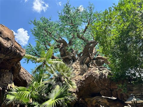 Photos A Close Up Look At The Immersive Queue Of Its Tough To Be A Bug