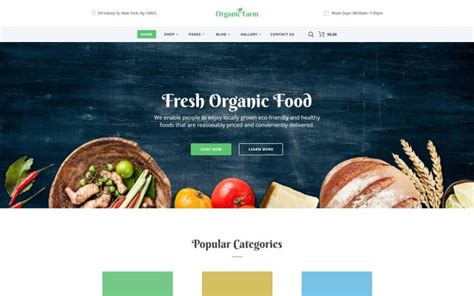 Grocery Store Angular Website Template TemplateMonster