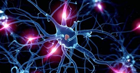 What Is Neuromodulation And Can It Be Used To Treat Tinnitus