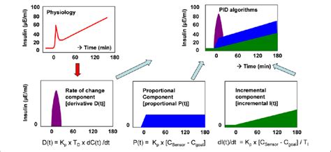 Model Of Insulin Delivery According To The Pid Algorithm 14 Download