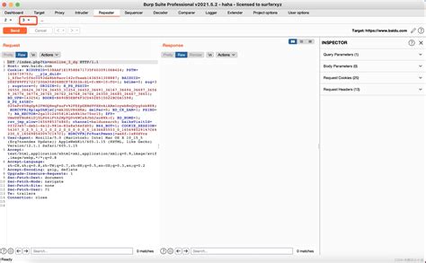brupsuite repeater模块 csdn博客