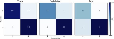 Frontiers Deep Learning Classification Of Reproductive Tissue From