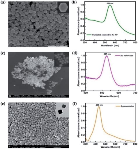 Sem Image Of A Truncated Octahedral Au Nps C Au Ncs And E Ag Ncs