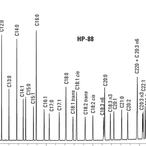 Gc Fid Analysis Of C181 Isomers On A 100 M × × 025 Mm Id 02 µm
