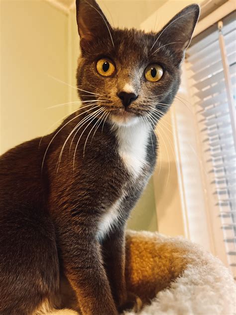 Nipsey Girl Scrolller