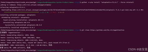 政安晨【零基础玩转开源ai项目】wangp —— 一款面向gpu资源有限的快速ai视频生成工具（支持wan 2122、混元视频、ltx视频及flux技术等）（基于ubuntu系统