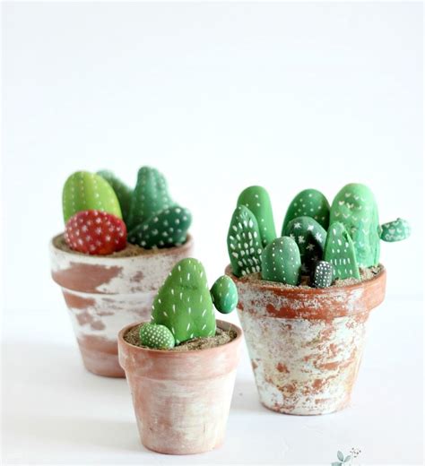 Cactus Sassi Dipinti Passion Diy
