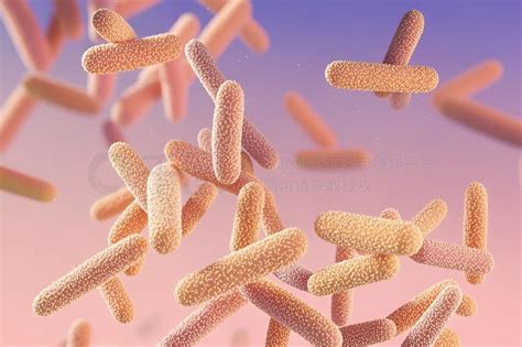 渐变背景ai数字艺术 细菌3d渲染渐变背景粉色紫色长条形细菌颗粒纹理插画 Ai平面元素免费下载 Png格式 4096像素 编号71818863 千图网