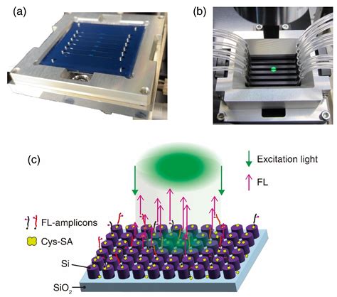 Biosensors Free Full Text Rapid Detection Of Attomolar Sars Cov 2 Nucleic Acids In All