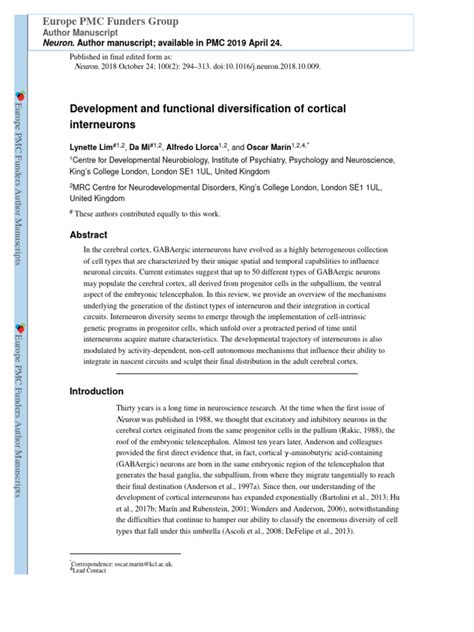lynette development and functional diversification of cortical