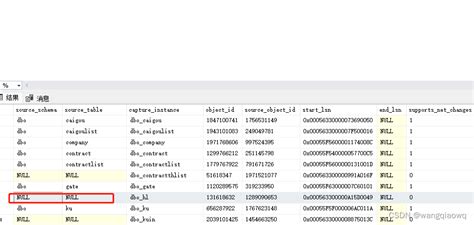 Sql Server Dinky Doris 数据导入demosql Server 数据快速导入到doris Csdn博客
