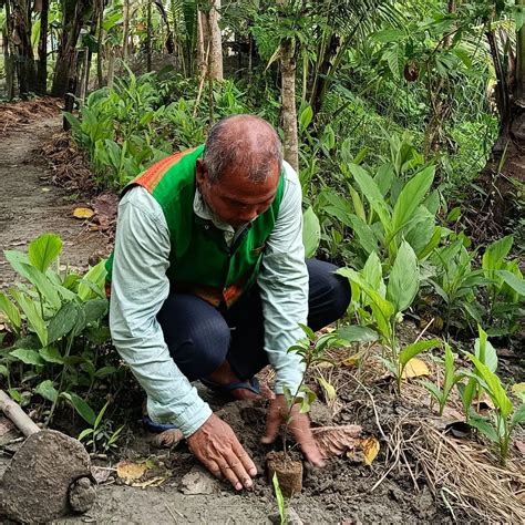 World Environment Day 2023 Why Some Celebrities Pretend To Care For