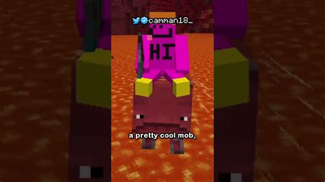 The Forgotten Minecraft Mobs Minecraft Videos