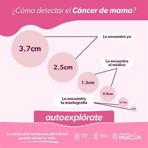 Salud Conoce Los Síntomas Del Cáncer De Mama Y Los Hábitos Saludables