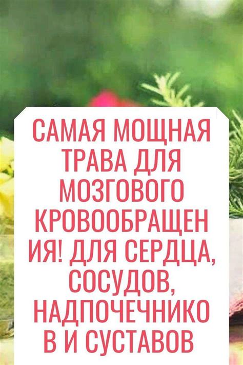 ДОМ СЕМЬЯ | Health matters, Health tips, Health