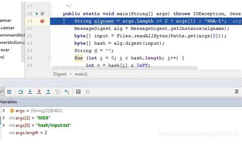 在IDEA中 实现给main方法附带参数的操作 张生荣