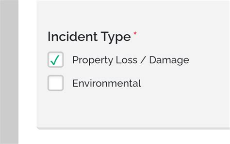 Check Boxes BIS Safety Software