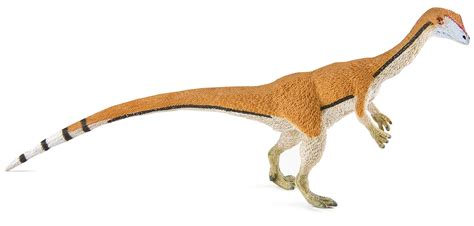 Safari Ltd Coelophysis Figurine Detailed 725