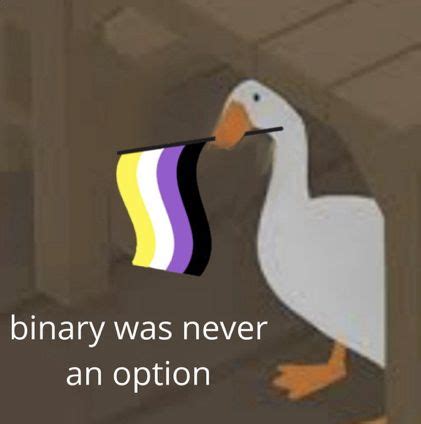 Pin By Rogue On Nonbinary In 2024 Lgbt Memes Lgbtq Funny Lgbtq