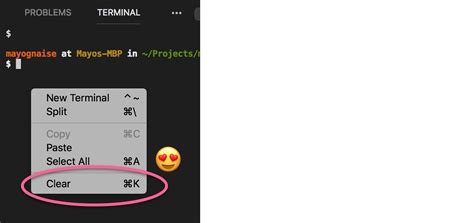 Shortcut To Clear Terminal Doesn T Work In Visual Studio Code On MacOS Stack Overflow