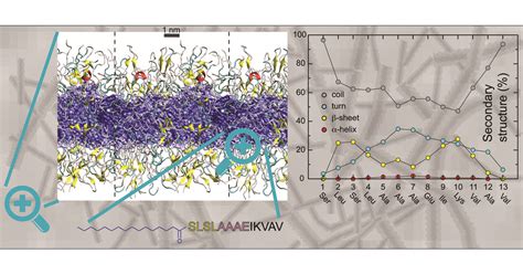 Atomistic Molecular Dynamics Simulations Of Peptide Amphiphile Self