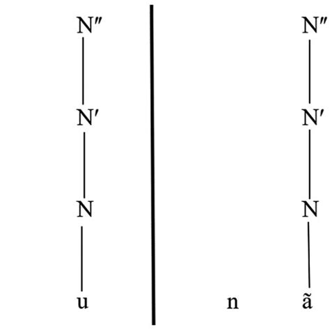 Rule 1 Identify Nucleus Consonantal Segments Project A Syllable